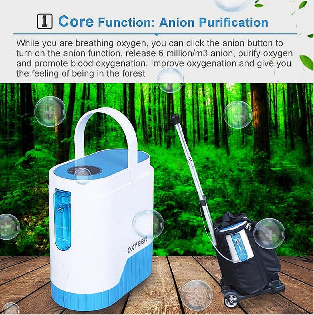 5L Portable Oxygen Concentrator C1